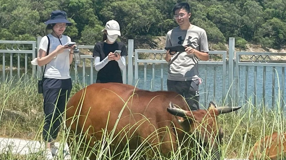 The Team 團隊 – Hong Kong Feral Cattle Research