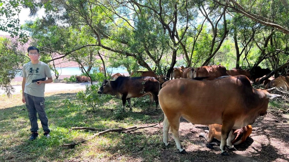 The Team 團隊 – Hong Kong Feral Cattle Research